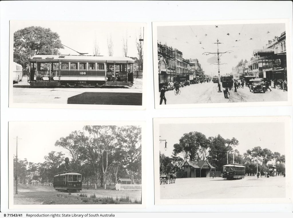 Photographs of transportation in early Adelaide • Photograph • State ...