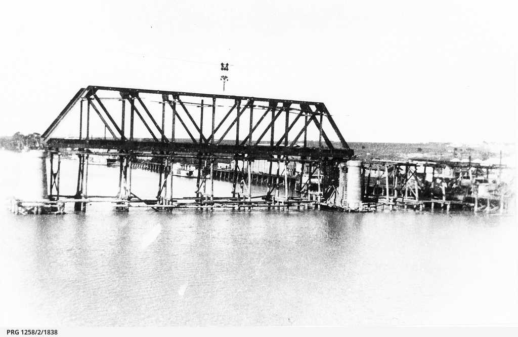Construction of the new railway bridge at Murray Bridge • Photograph ...