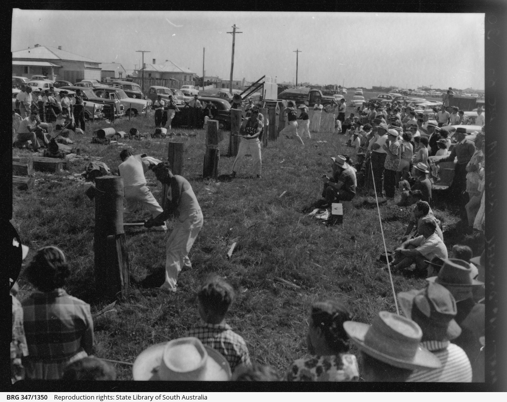 Port MacDonnell Regetta • Photograph • State Library of South Australia