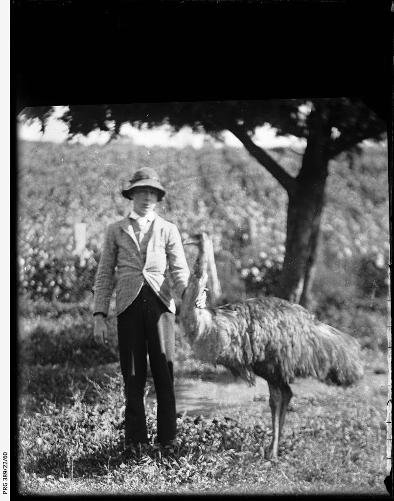 Photographs relating to Crompton and Clark families • Photograph ...