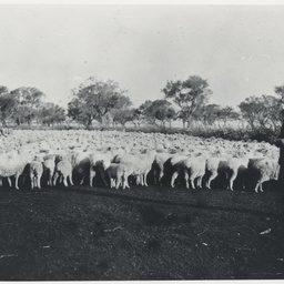 Aboriginal people Koonibba Mission Children's Home, South Australia ...