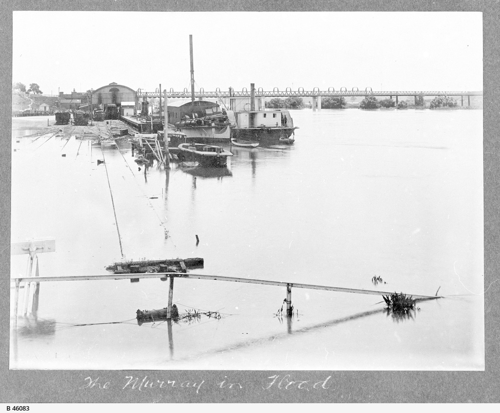 Murray Bridge wharf • Photograph • State Library of South Australia