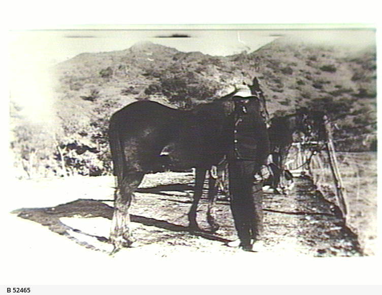 An Aboriginal stockman • Photograph • State Library of South Australia