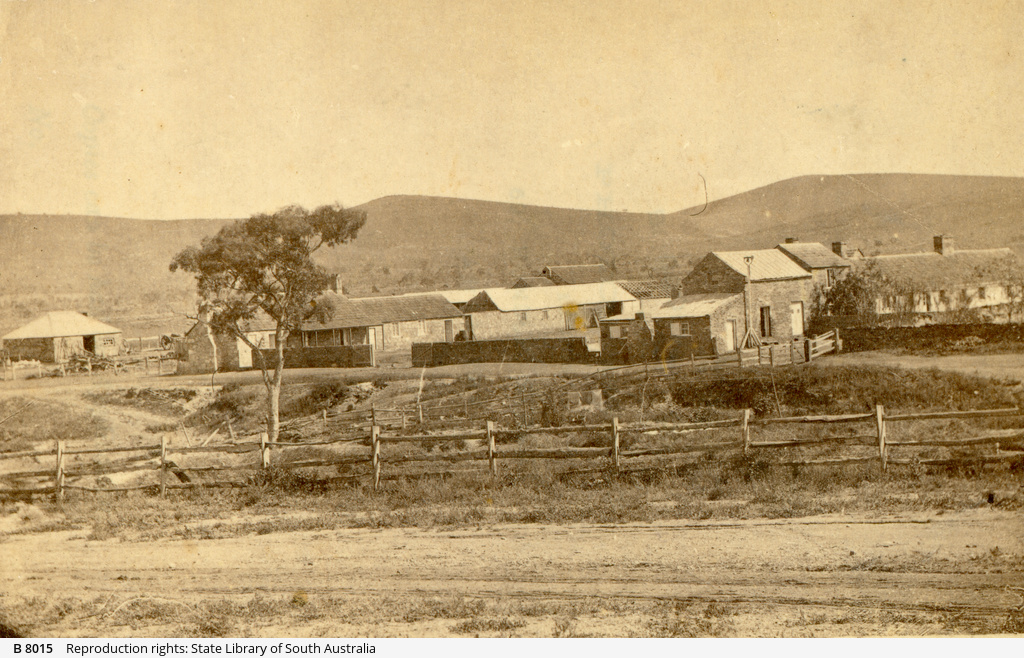 Coonatto Station homestead • Photograph • State Library of South Australia