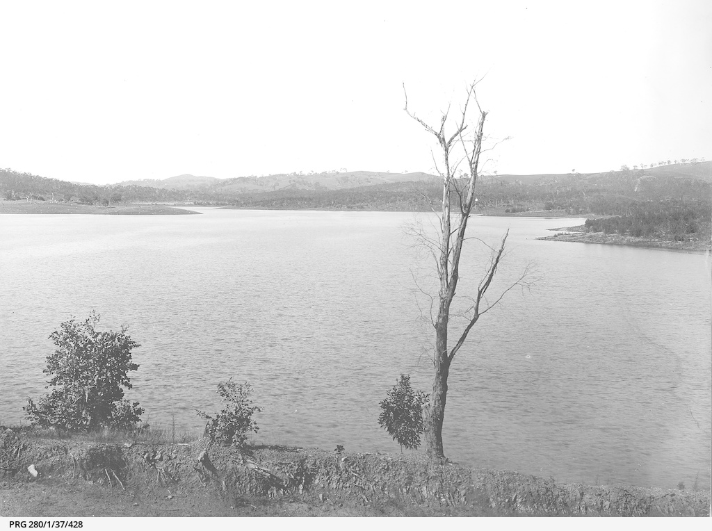 Millbrook reservoir in South Australia • Photograph • State Library of ...