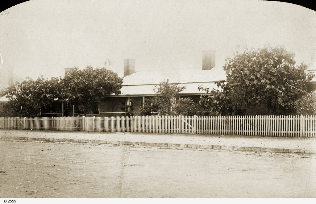 Strangways Terrace, North Adelaide • Photograph • State Library of ...