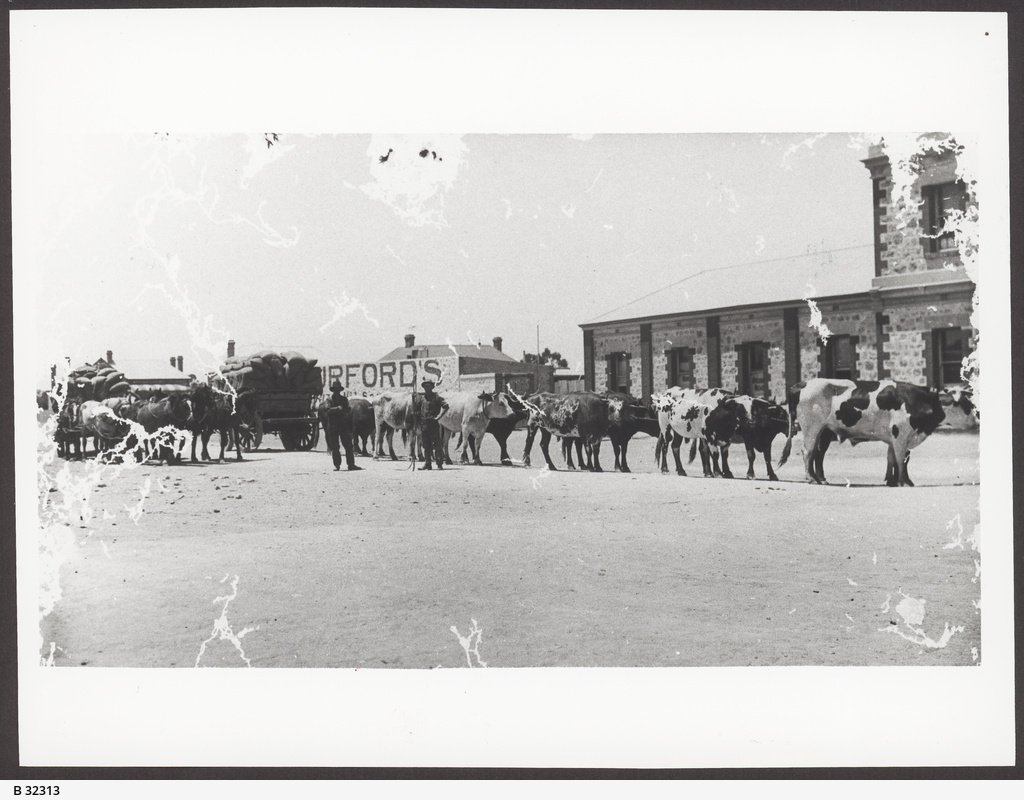 Cowell • Photograph • State Library of South Australia