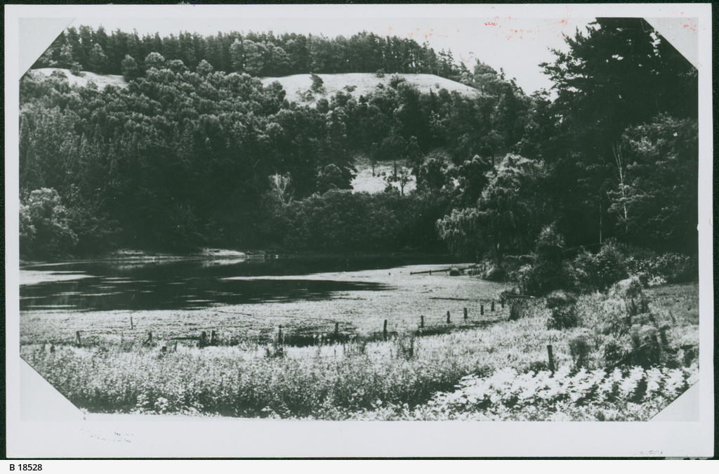Leg of Mutton Lake • Photograph • State Library of South Australia