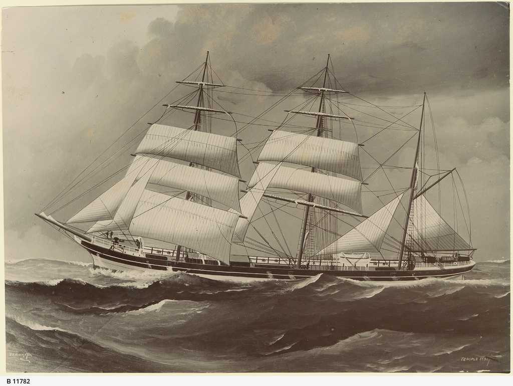 The "Beeswing" • Photograph • State Library of South Australia