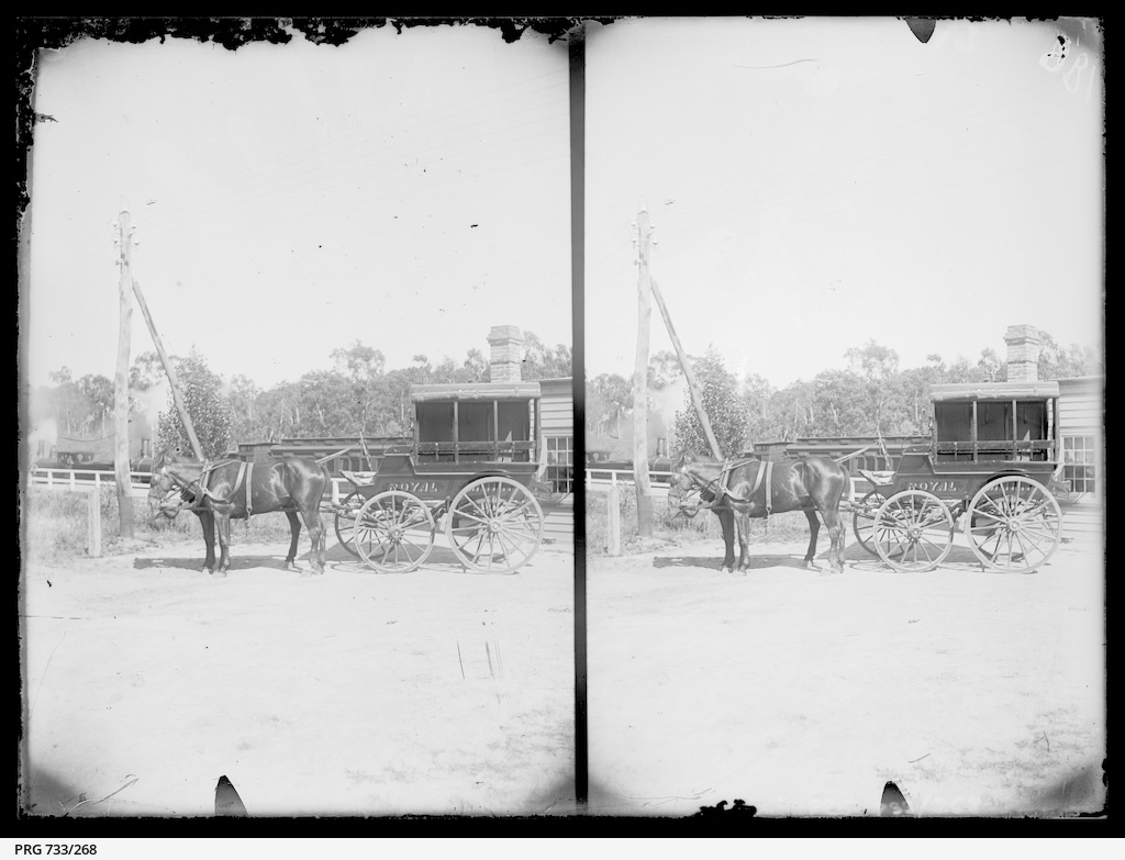 Royal Mail coach • Photograph • State Library of South Australia
