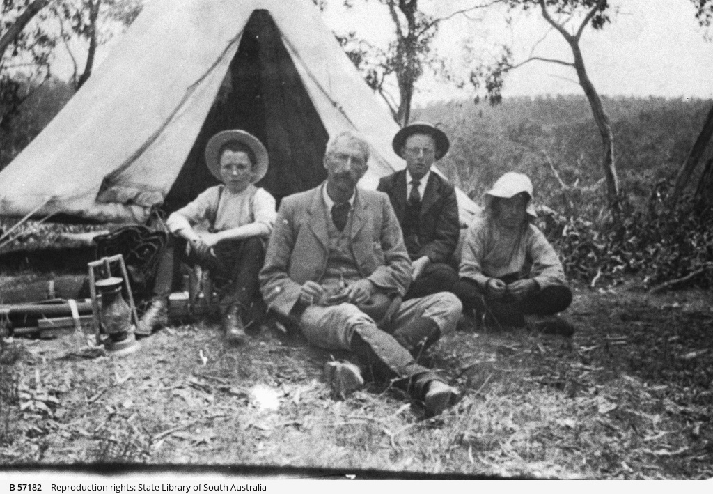 Early South Australian boy scouts • Photograph • State Library of South ...