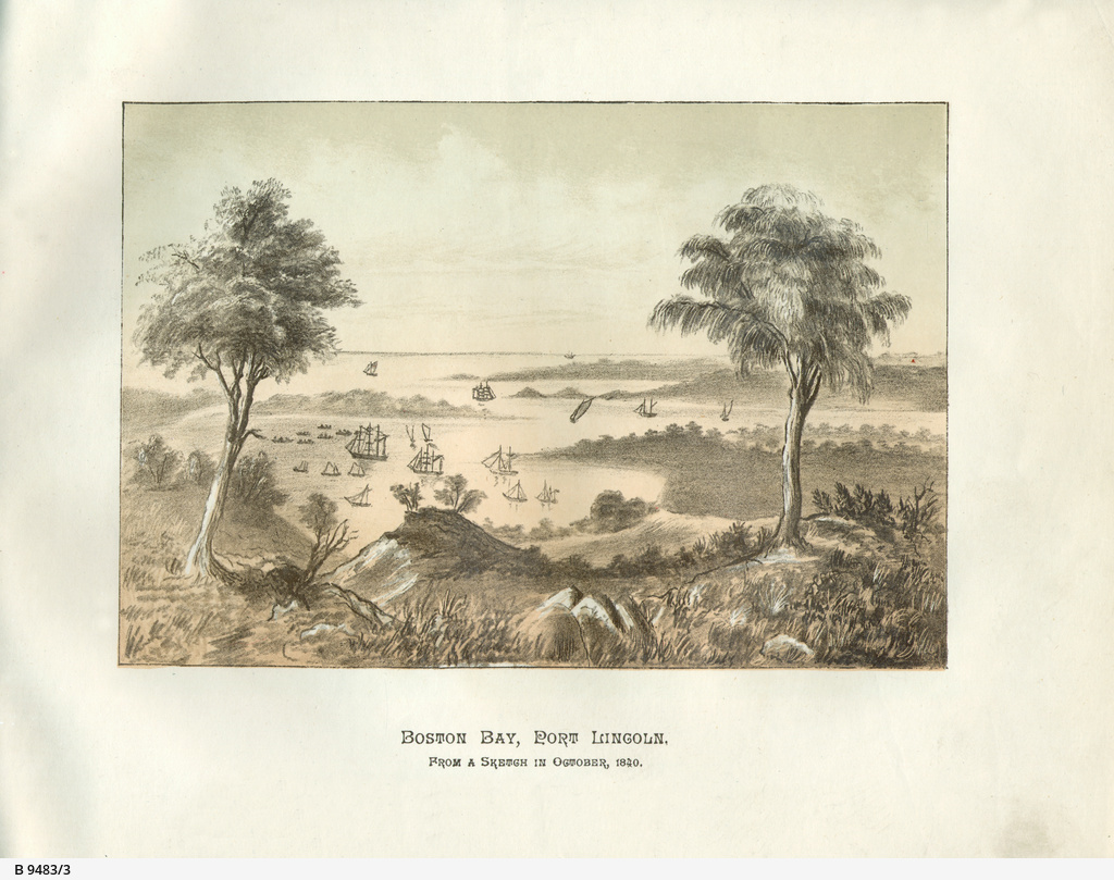 Boston Bay • Photograph • State Library of South Australia