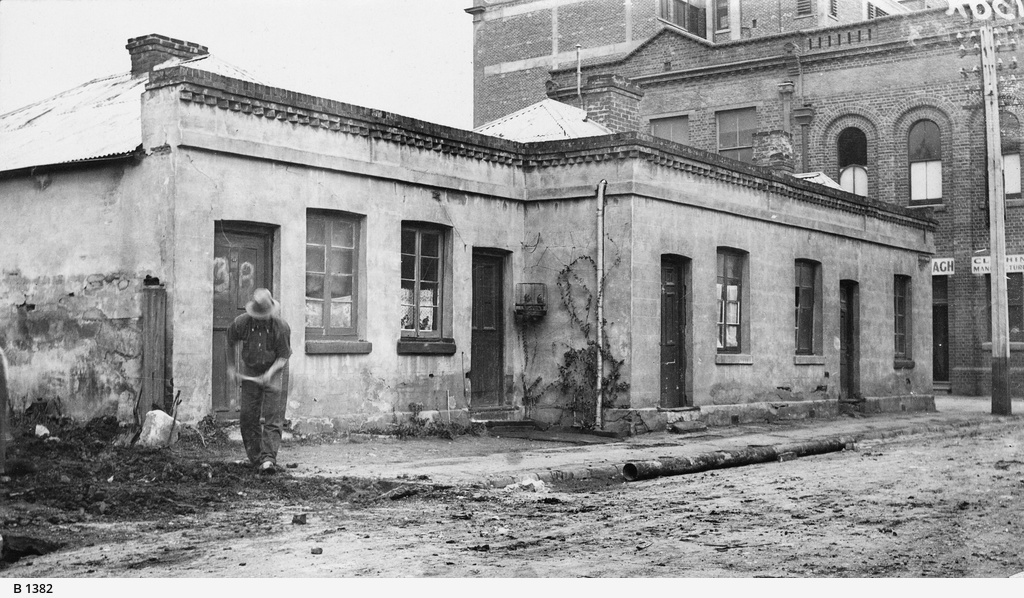 Austin Street, Adelaide • Photograph • State Library of South Australia