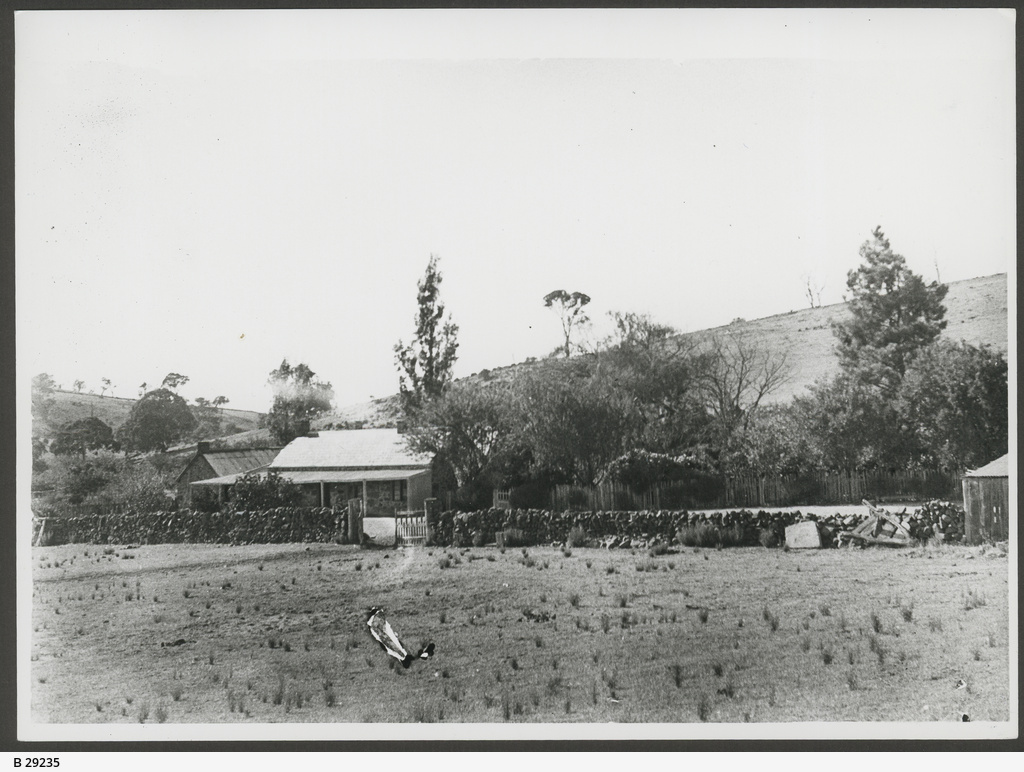 The "Sweethome', Strathalbyn • Photograph • State Library of South ...