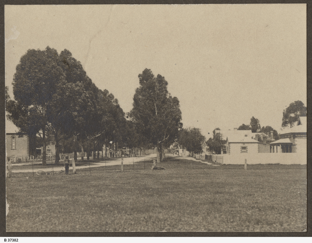 Sixth Street Koolunga • Photograph • State Library of South Australia