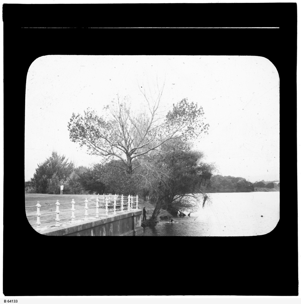 Torrens River near the weir, Adelaide • Photograph • State Library of ...