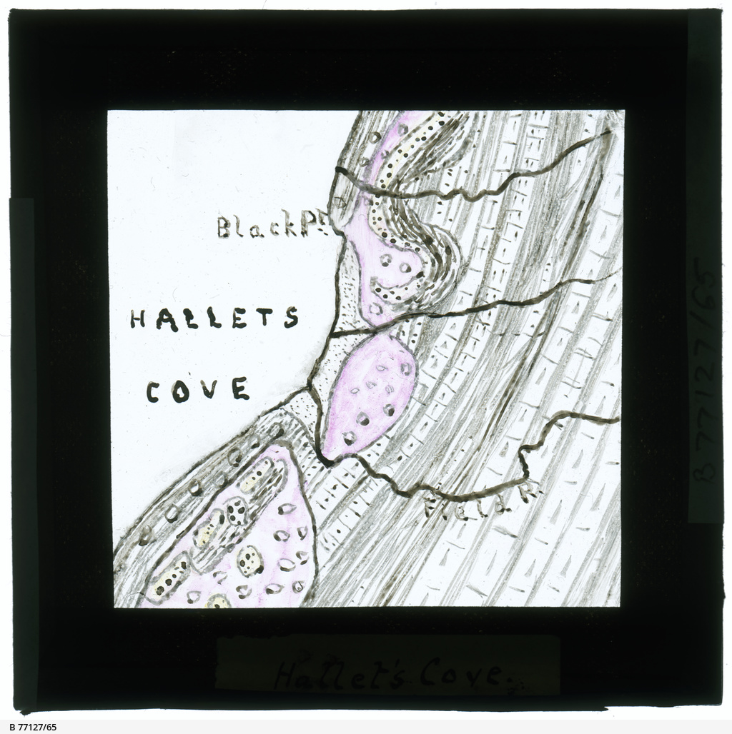 Map of Hallett Cove showing geological formations • Photograph • State ...