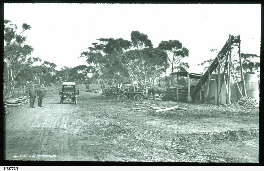 Photographs of Craigburn farm and Minda Home at Brighton • Photograph ...