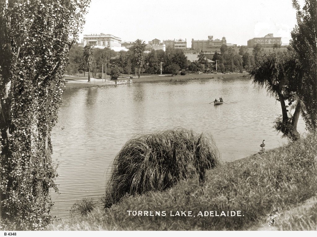 Torrens Lake, Adelaide • Photograph • State Library of South Australia