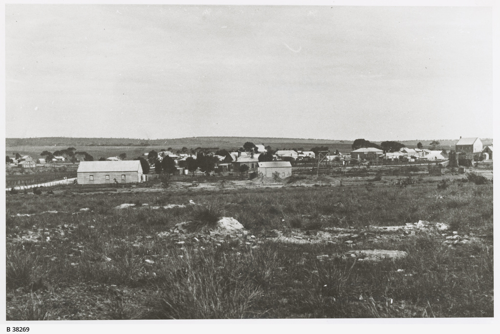 Callington • Photograph • State Library of South Australia