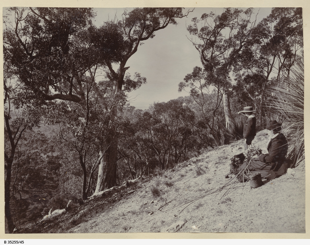 Mt. Tabor • Photograph • State Library of South Australia