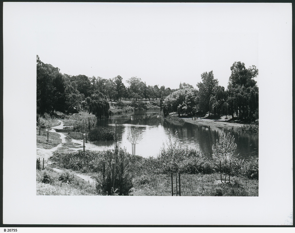 Lake Torrens • Photograph • State Library of South Australia