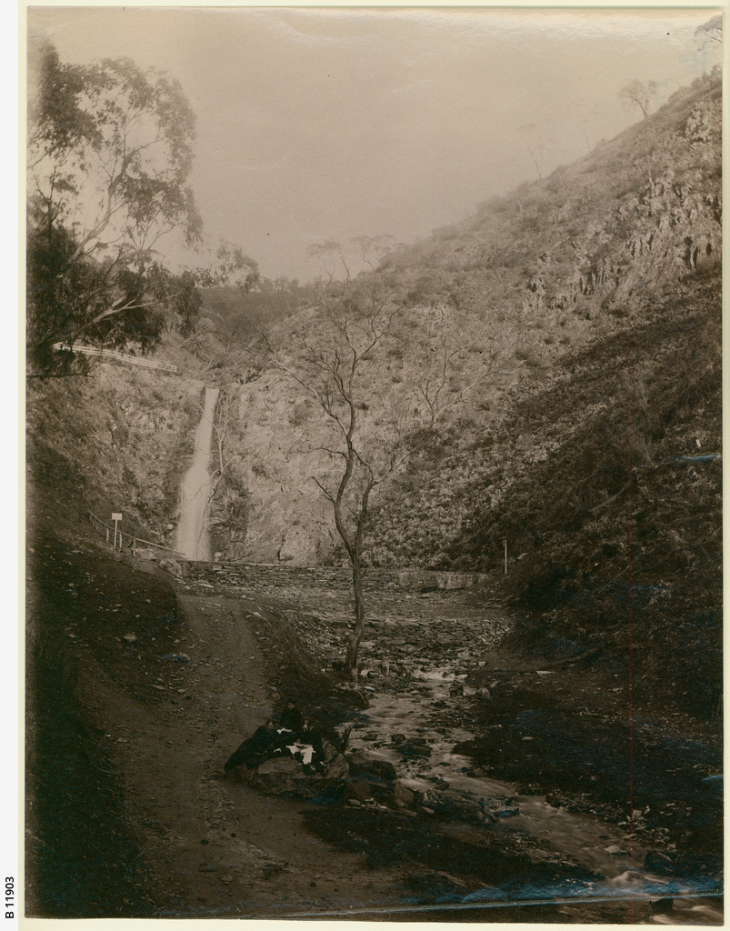Waterfall Gully • Photograph • State Library of South Australia