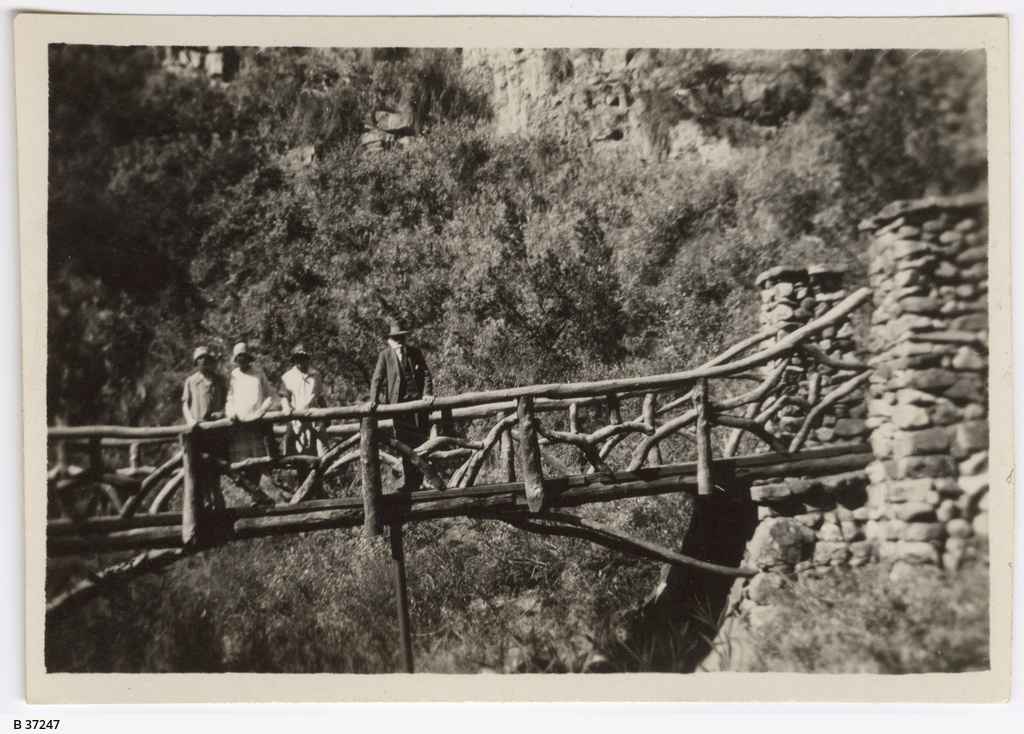 Morialta Falls Bridge • Photograph • State Library of South Australia