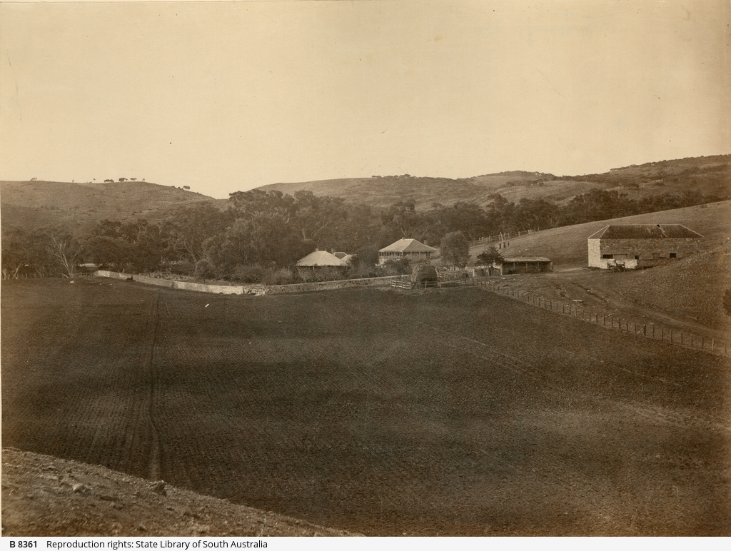 Crystal Brook Station • Photograph • State Library of South Australia