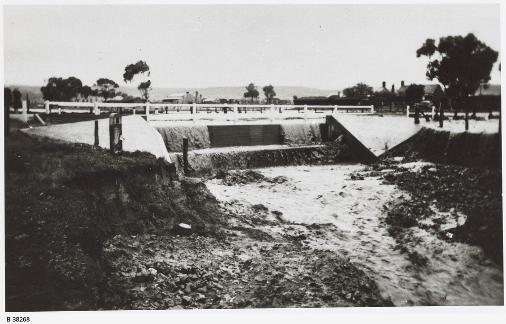 Callington • Photograph • State Library of South Australia