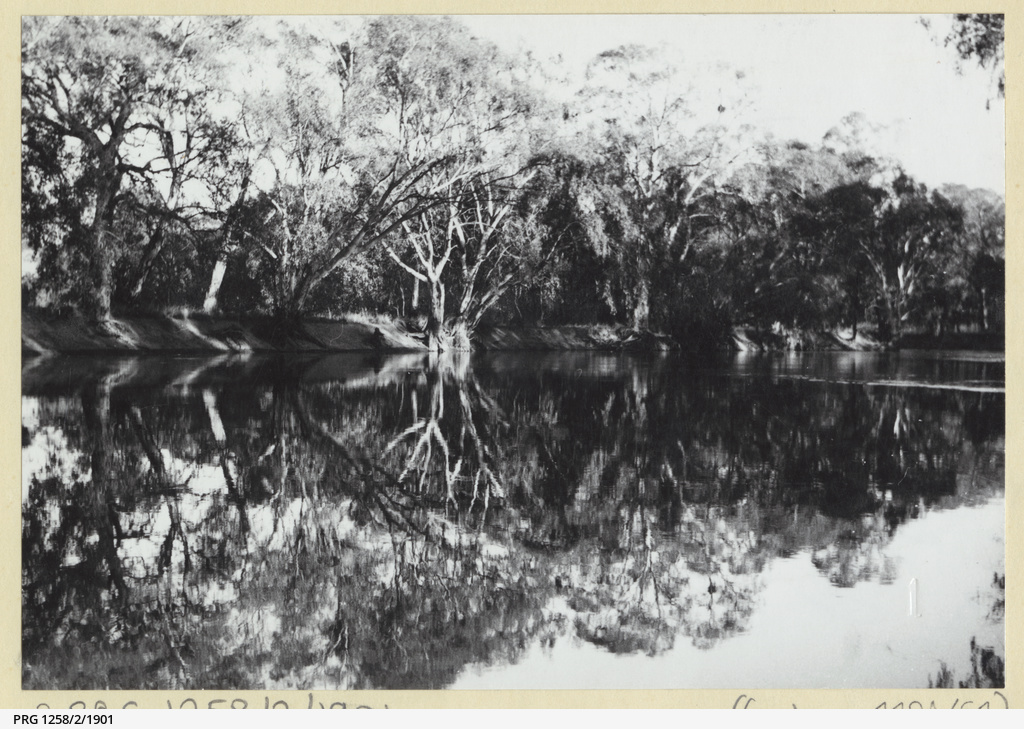 Natural river bank scenery with mirror reflection at Nyah • Photograph ...