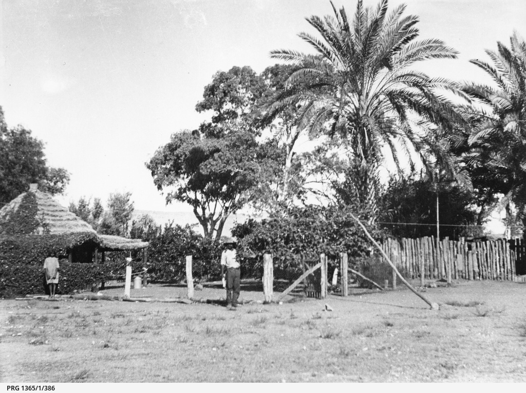 George Wilkinson's residence • Photograph • State Library of South ...