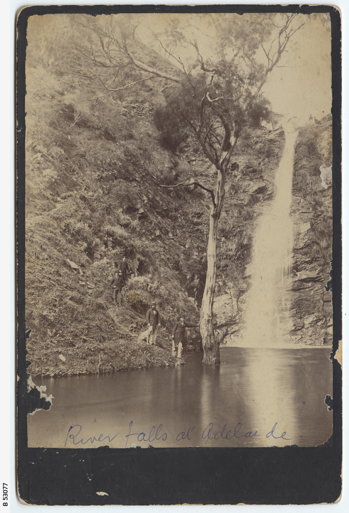 First Fall, Waterfall Gully • Photograph • State Library of South Australia