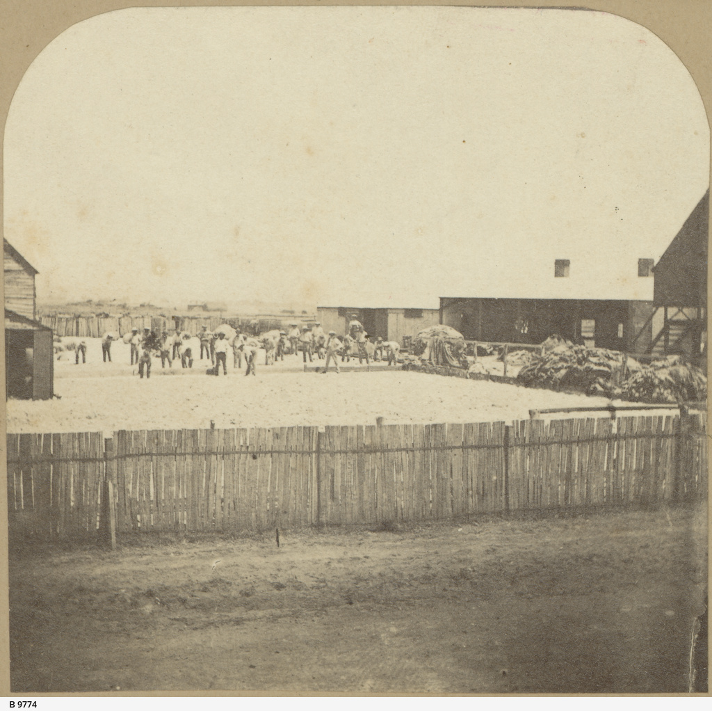 Wool Plant, Hindmarsh • Photograph • State Library of South Australia