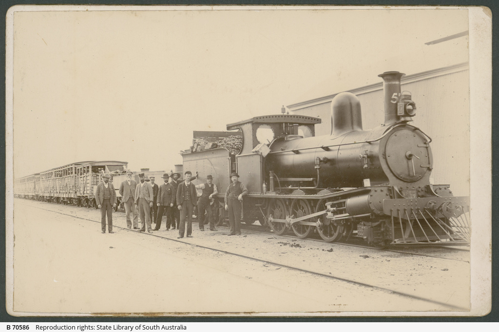 Cattle train, Farina • Photograph • State Library of South Australia