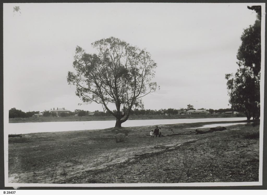 Renmark • Photograph • State Library of South Australia