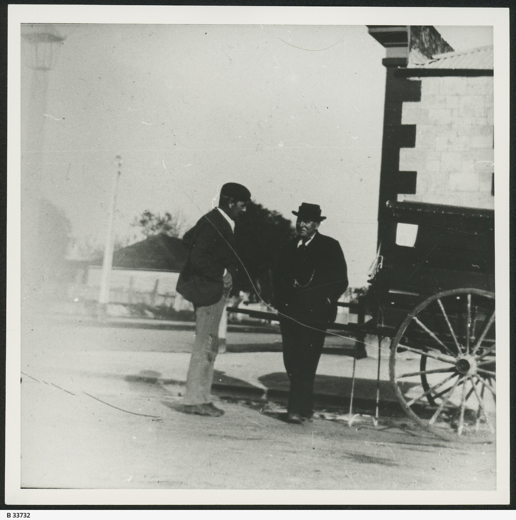 Penola • Photograph • State Library of South Australia