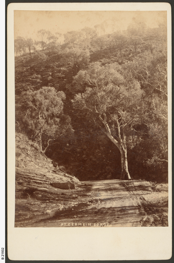 Port Germein Gorge • Photograph • State Library of South Australia