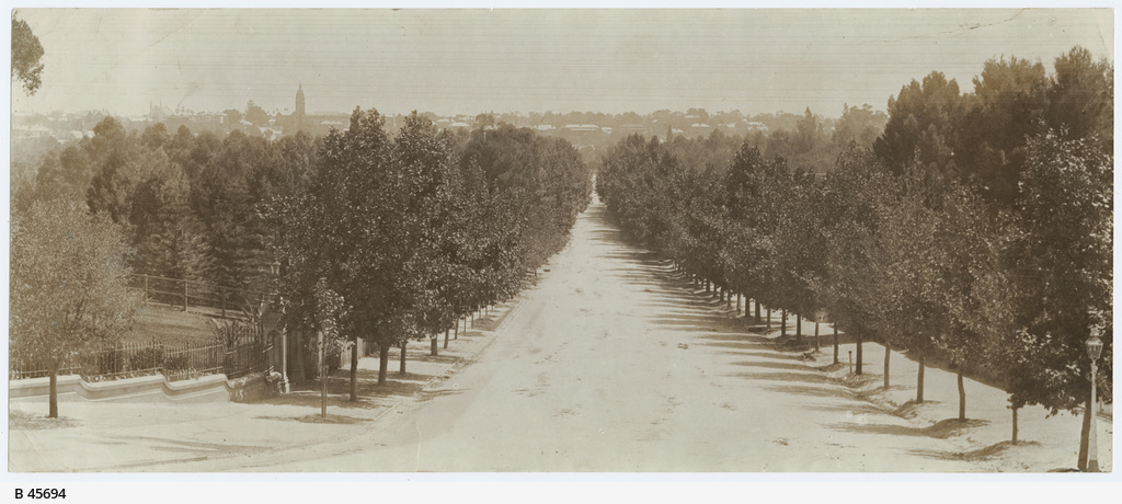 Frome Road • Photograph • State Library of South Australia