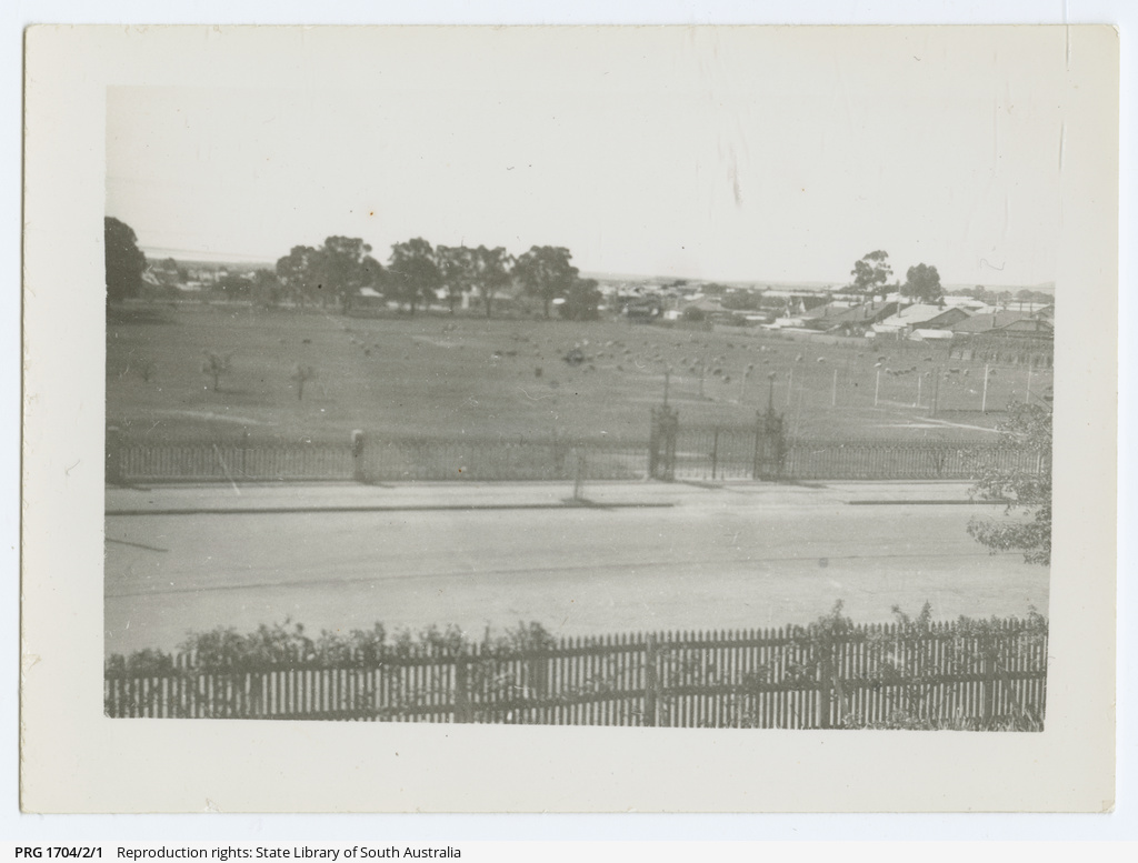 Photographs of Haslam Oval • Photograph • State Library of South Australia