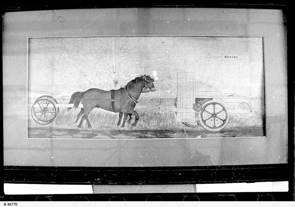 The "Ridley Reaper" • Photograph • State Library of South Australia