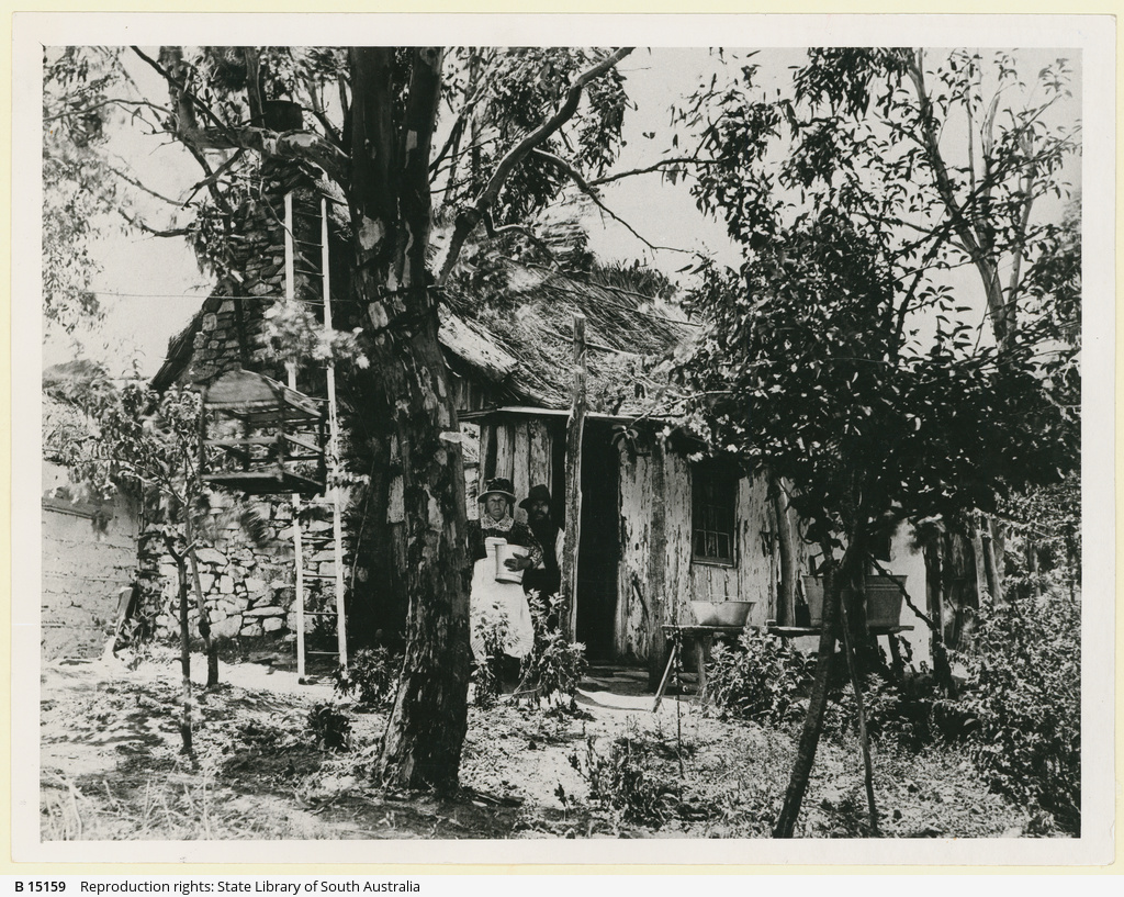 Humbug Scrub Sanctuary • Photograph • State Library of South Australia