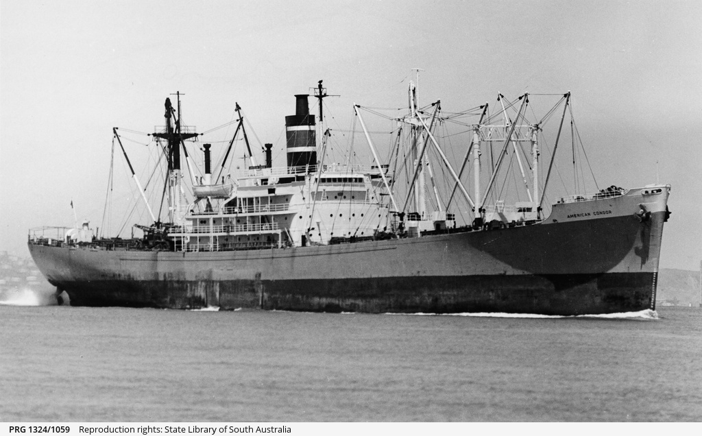 American Condor • Photograph • State Library of South Australia