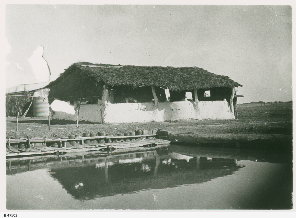 Mohammed Mosque, Marree • Photograph • State Library of South Australia