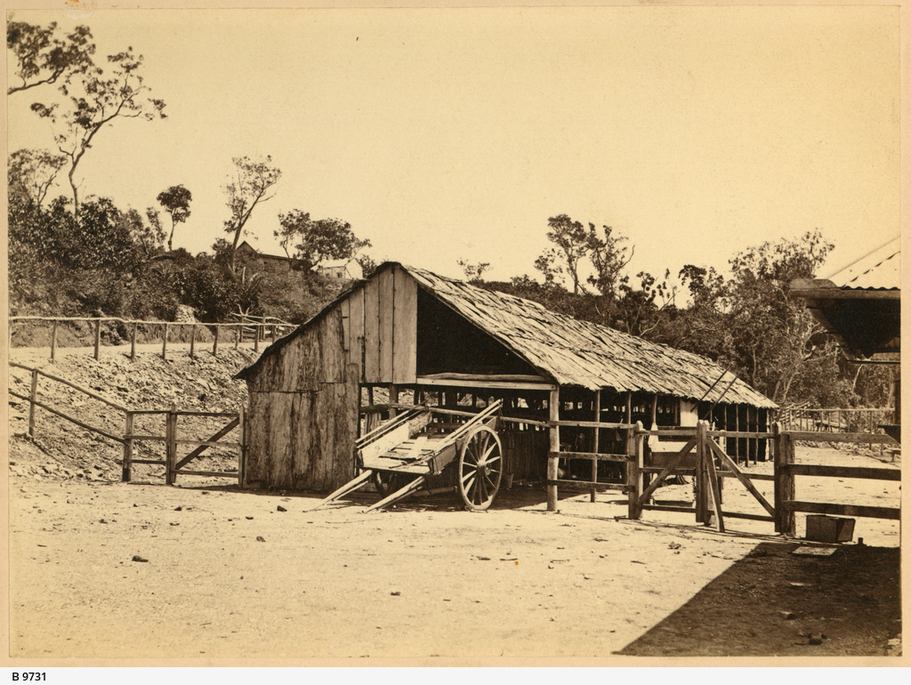 Darwin • Photograph • State Library of South Australia