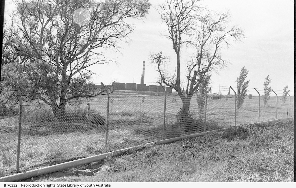 Port Stanvac oil refinery • Photograph • State Library of South Australia