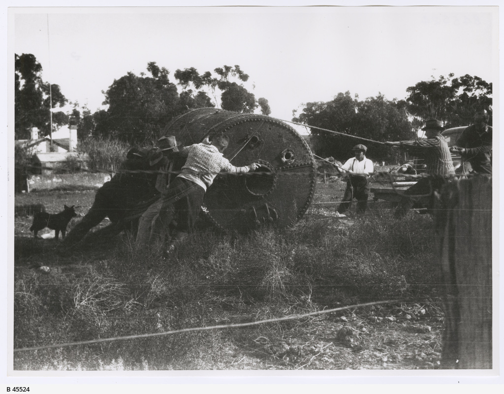 Koolunga • Photograph • State Library of South Australia