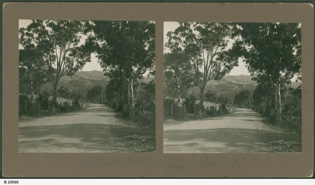 Gumeracha • Photograph • State Library of South Australia