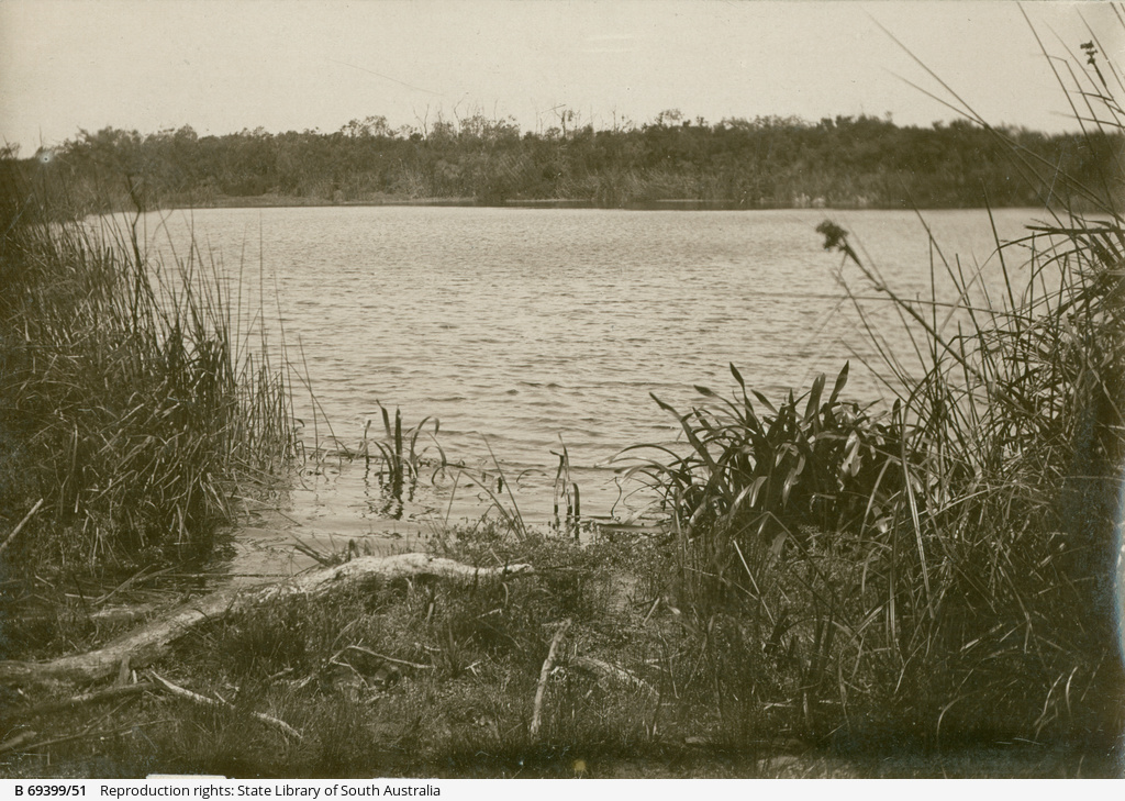 Mount Burr • Photograph • State Library of South Australia