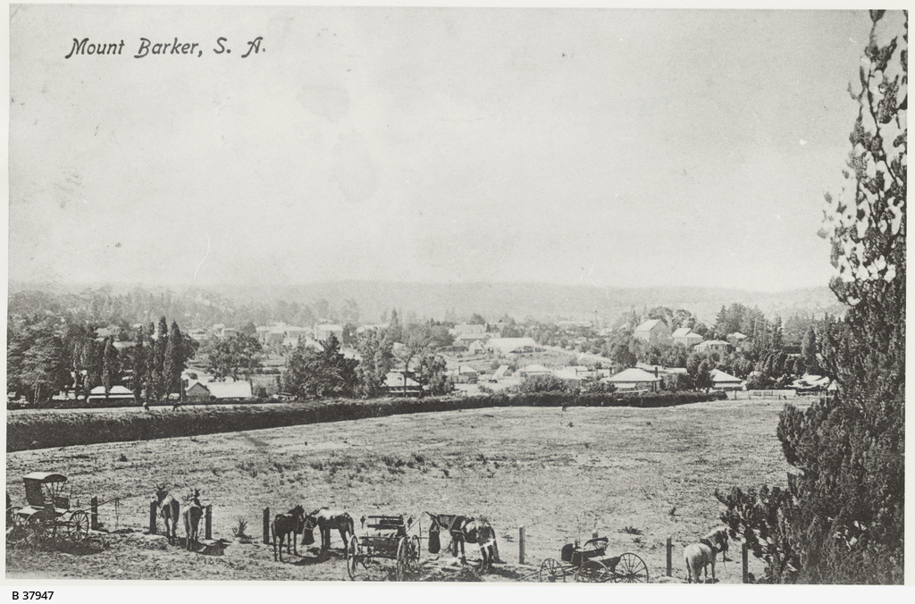 Mount Barker • Photograph • State Library of South Australia